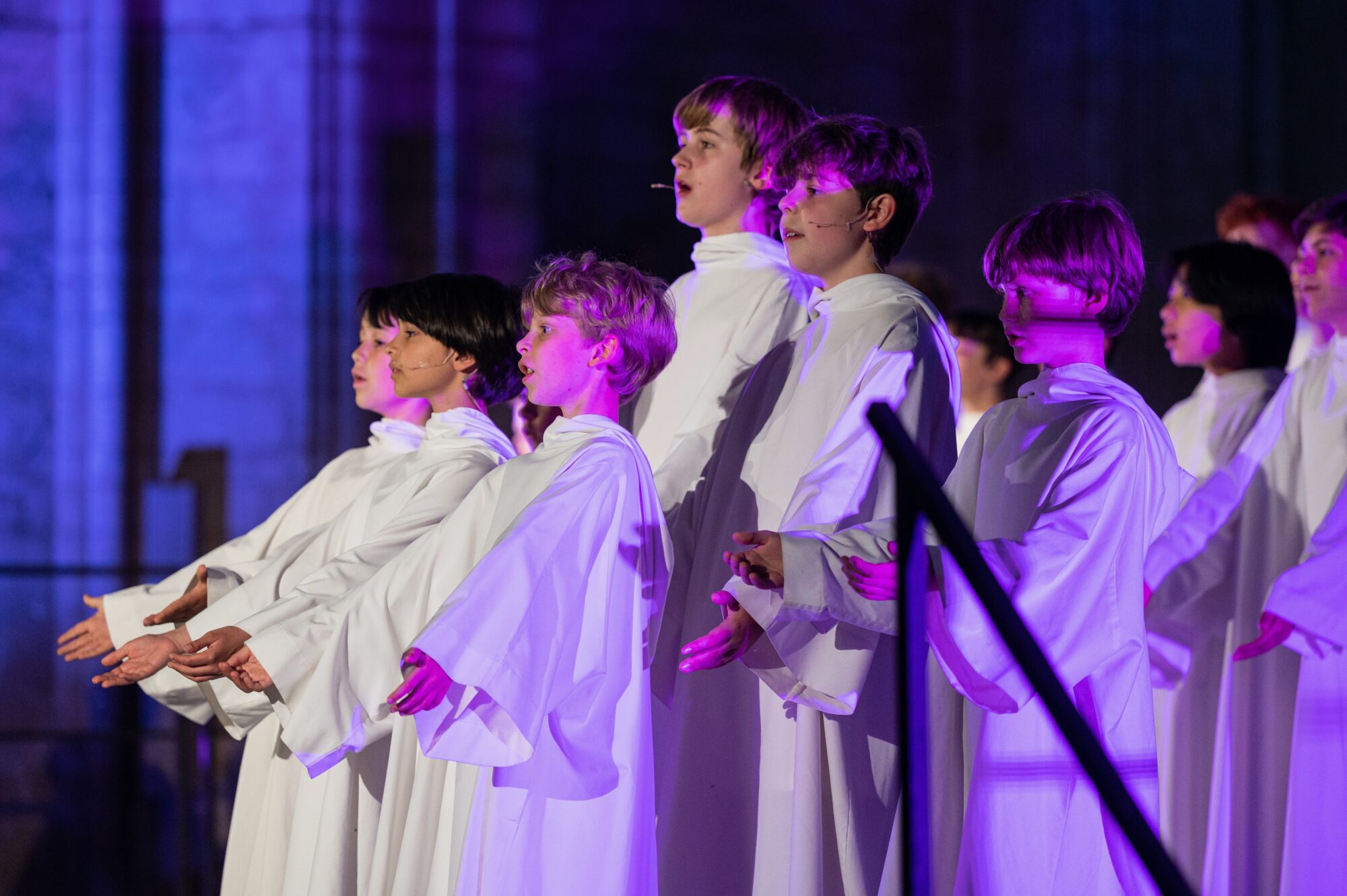 Ely Cathedral 2022 • Libera