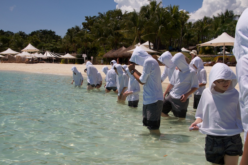 About Libera – Libera