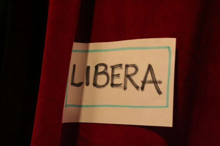 USA Visit 2013 • Libera